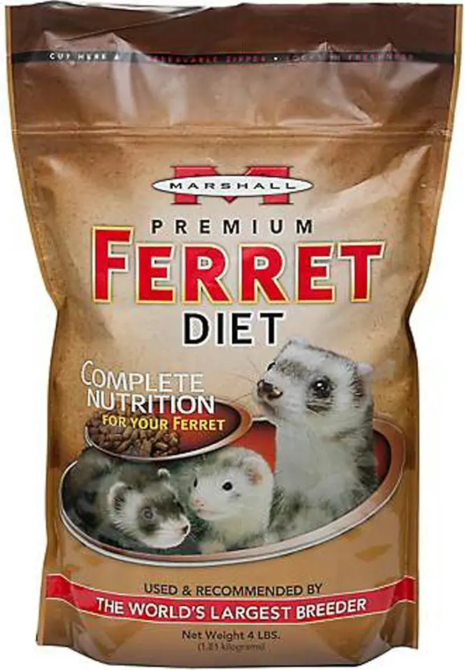 The Ultimate Guide To What Ferrets Eat: A Comprehensive List | PetShun