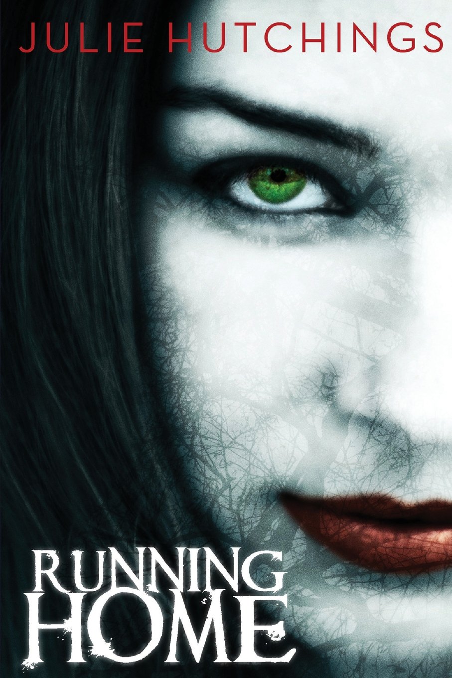 Running Home: Hutchings, Julie, Daley, James Roy: 9781927112182: Amazon ...