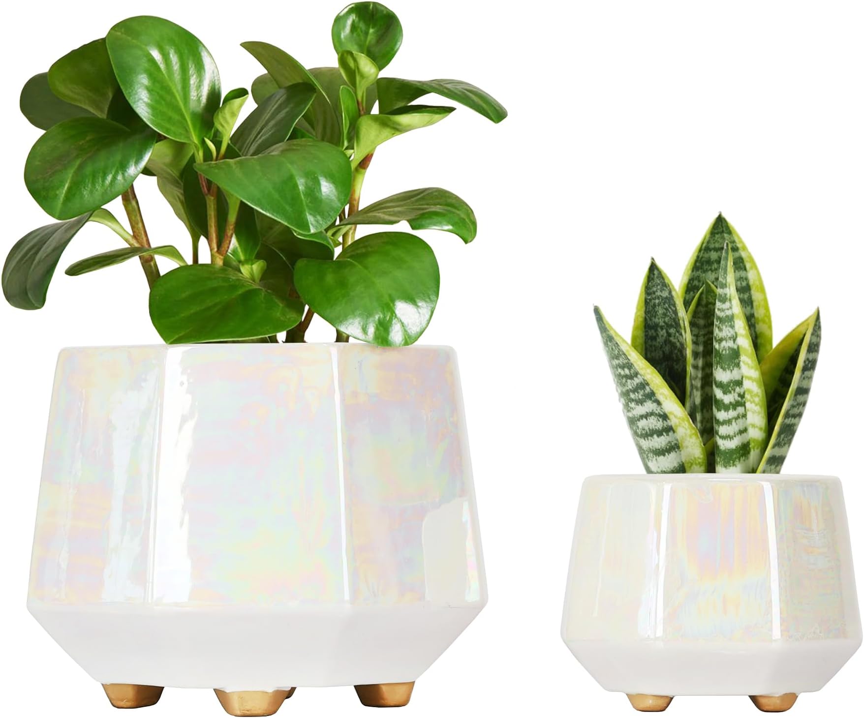 Amazon.com : Coco Andrea Iridescent White Ceramic 5 Inch Plant Pot Small Planter for Indoor ...