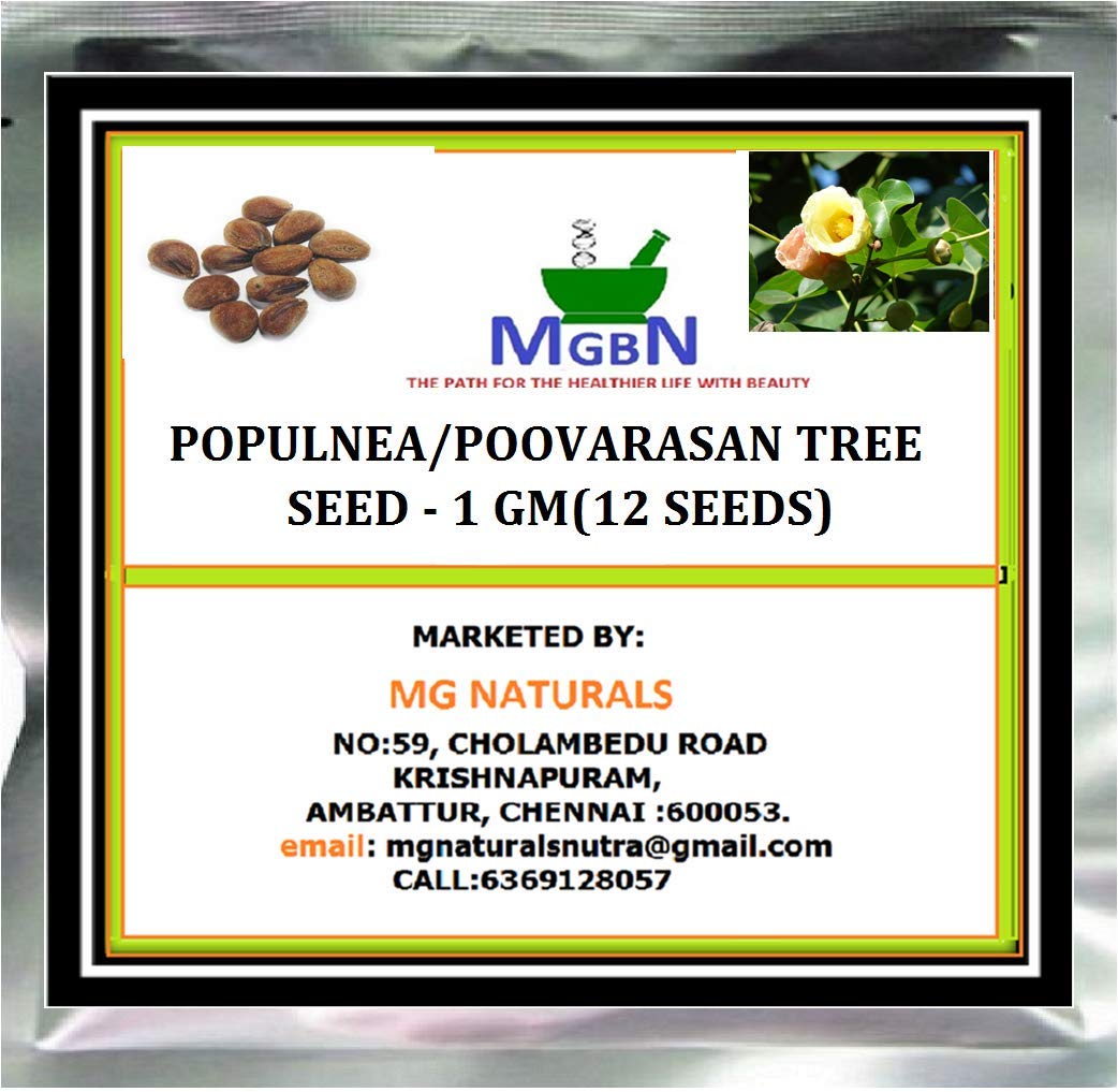 PARAS PEEPAL/THESPESIA POPULNEA/POOVARASAN TREE SEED - 1 GM (12 SEEDS ...