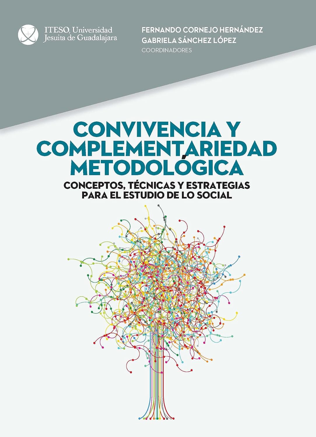 Convivencia y complementariedad metodológica. Conceptos, técnicas y ...