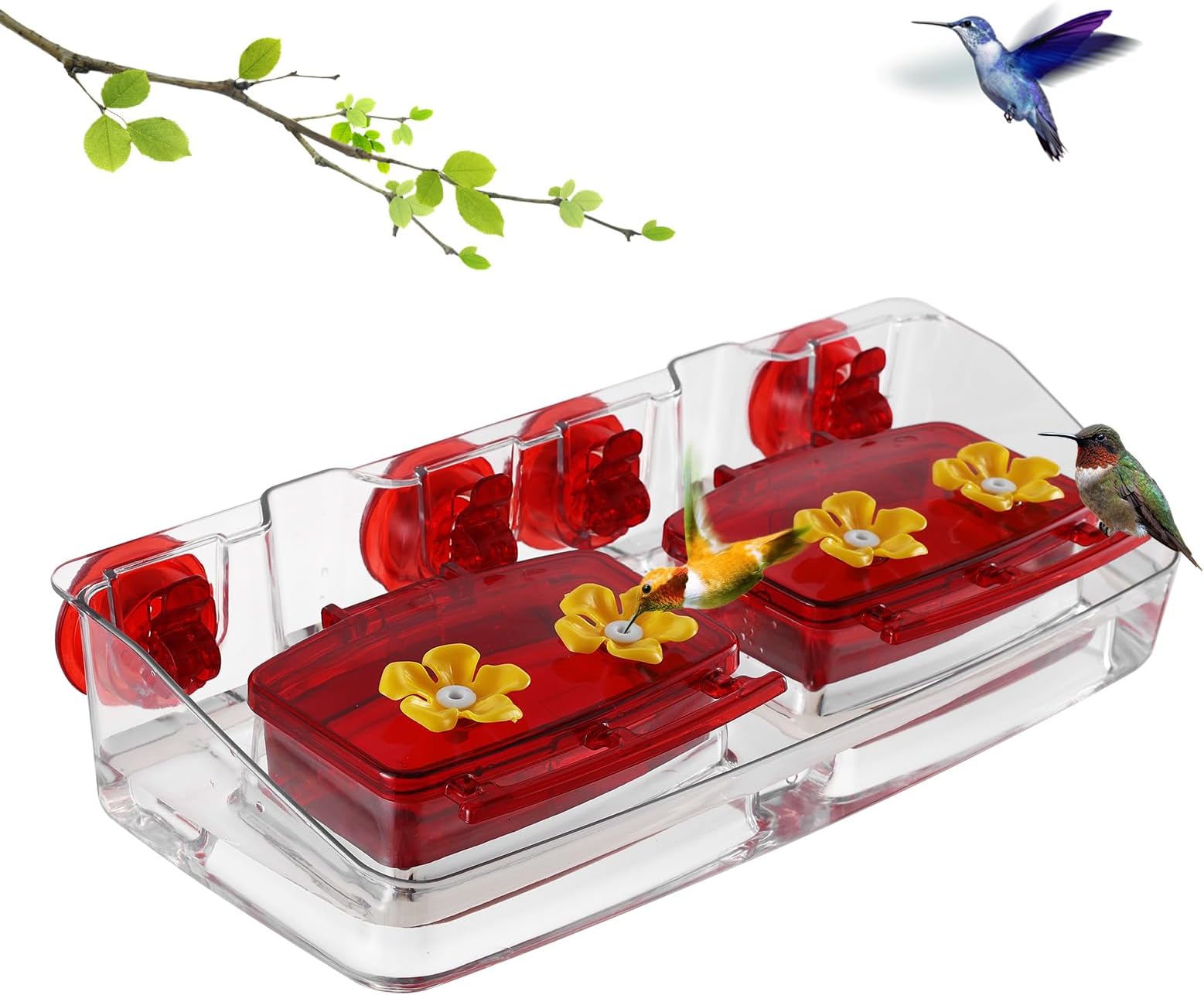 Amazon.com : Outdoor Plastic Window Hummingbird Feeder with Powerful ...