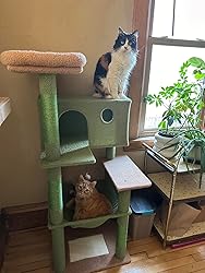 Amazon.com : Meow Sir Large Cat Tree for Large Cats 70 Inches Tall Cat Tower with Large Hammock ...