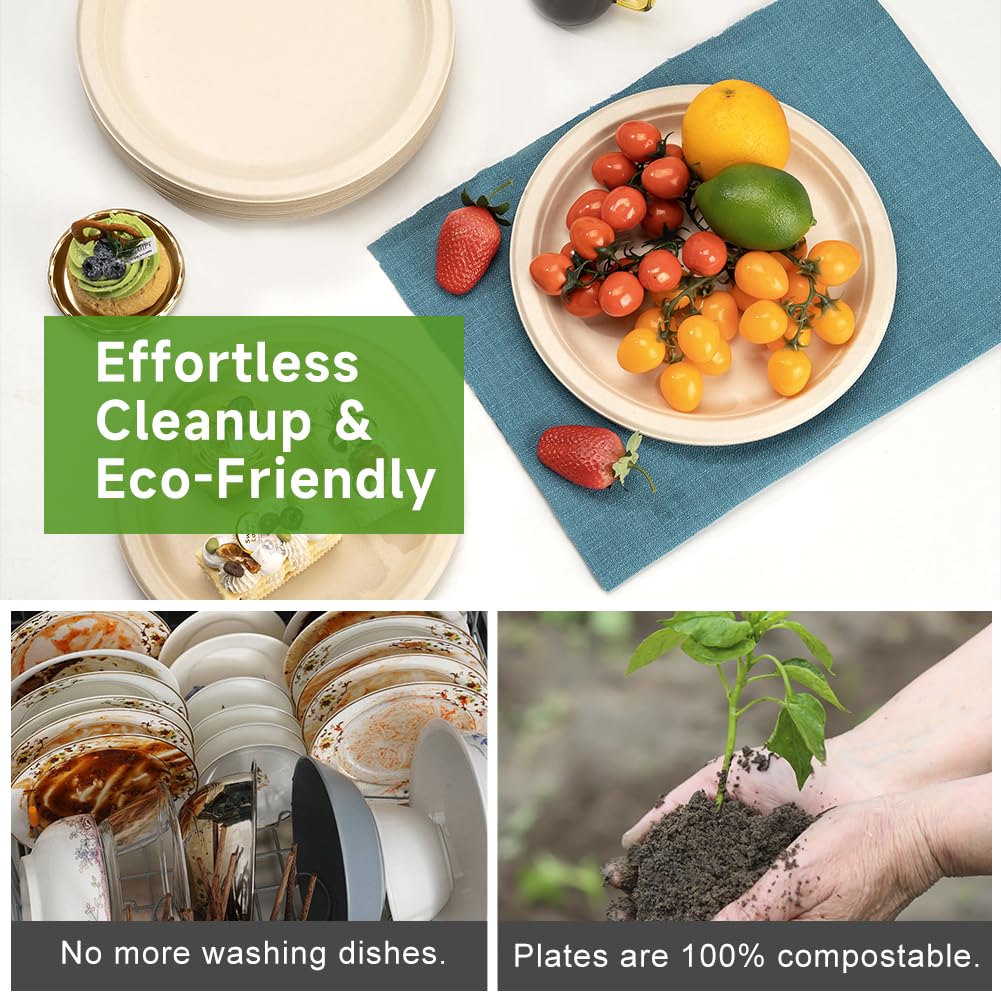 Snapklik.com : Compostable Paper Plates 9 Inch 500 Pack, Disposable ...