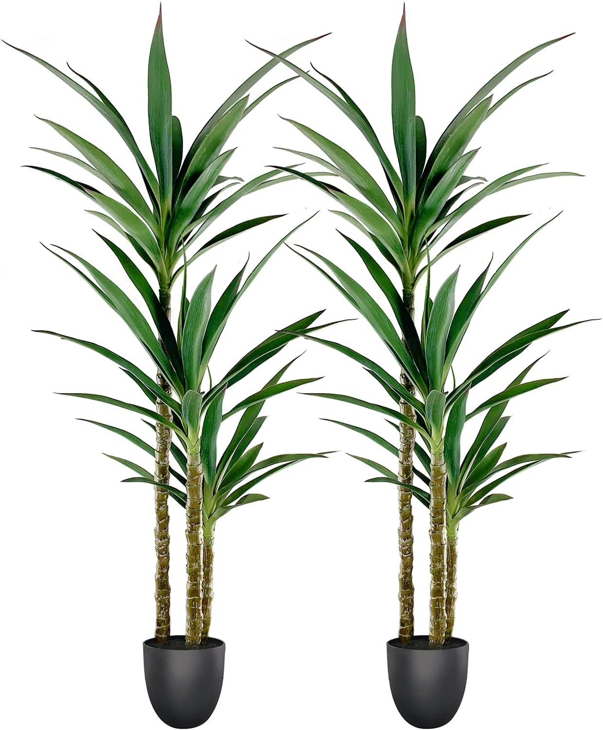 Lambye Artificial Tree 4 6 Feet Agave Plant With 3 Heads In Plastic Lambye Artificial Tree 4 6 Feet Agave Plant With 3 Heads In Plastic