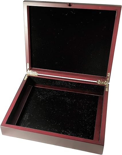 Amazon.com: Two Tray Coin Display Box for Capsule, Certified, Slab ...