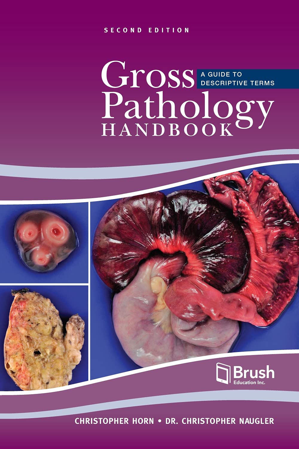 Gross Pathology Handbook: A Guide to Descriptive Terms: 9781550599091 ...