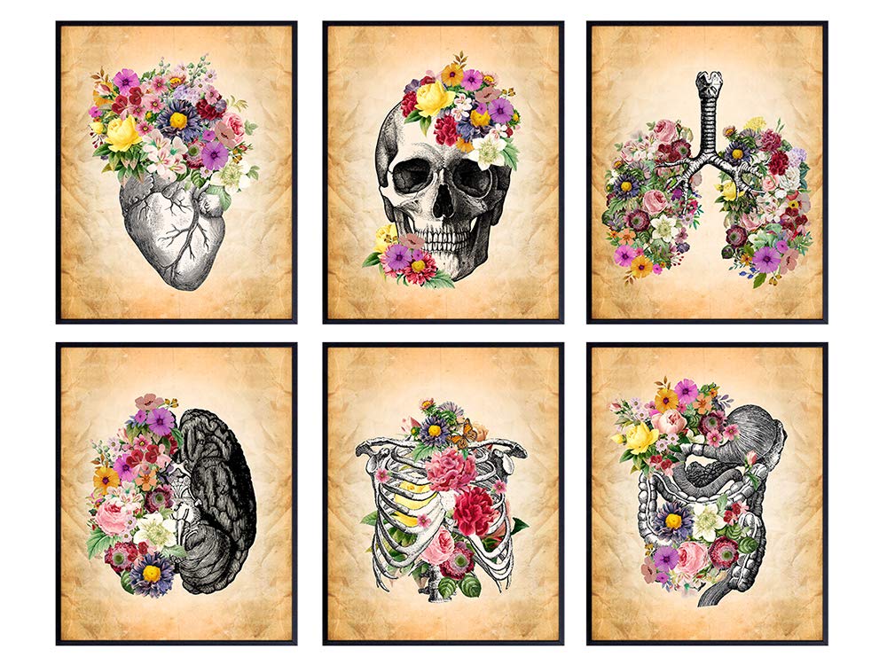Amazon.com: Medical Art Set - Retro Vintage Anatomical Wall Decor for ...