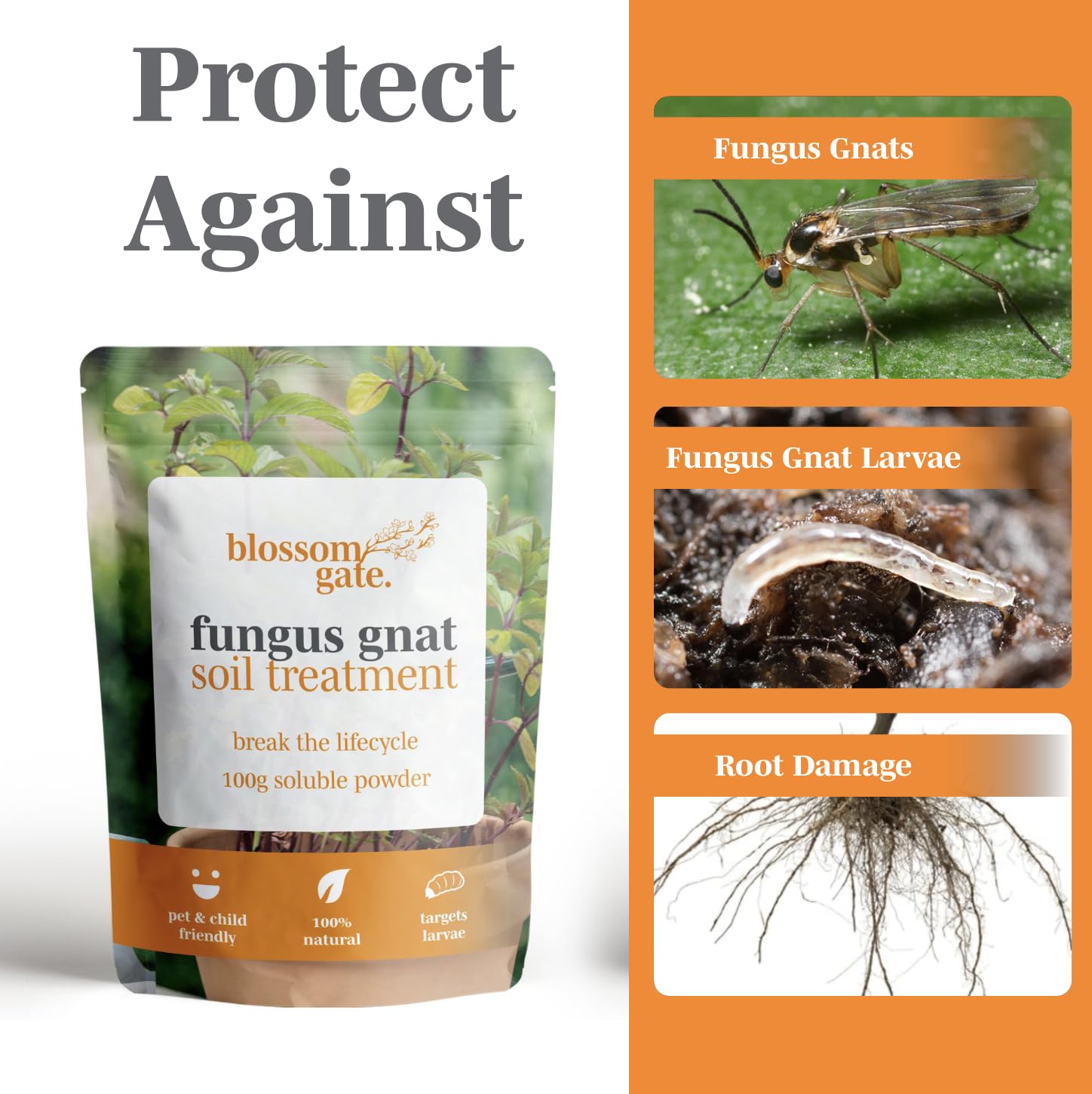 Anti-Fungus Gnat Soil Treatment Multi-Pest Control for Gnats, Black ...