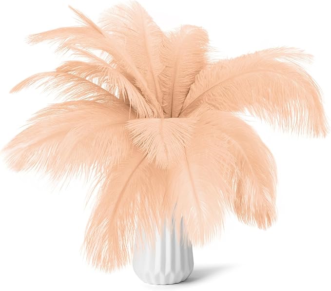 Amazon.com: 80pcs 15-17 inches (38-43 cm) Natural Bulk Ostrich Feathers ...