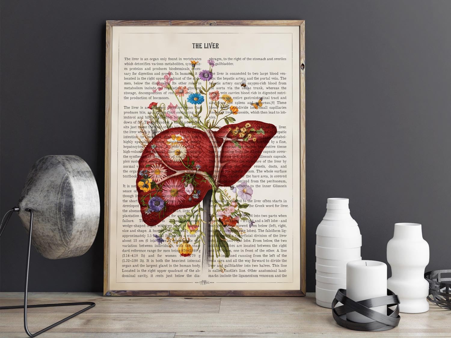 Liver Exam Room Anatomy Poster Clinicalposters Medical Human Body