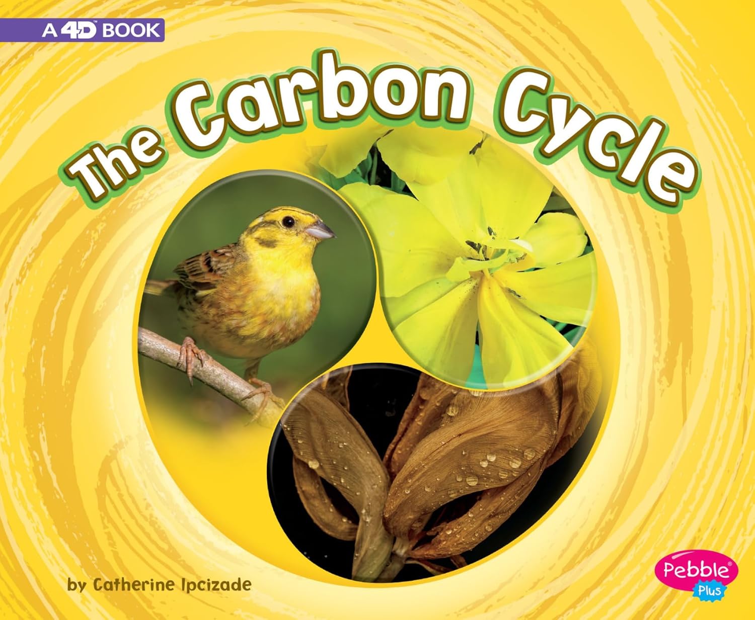 Amazon.com: The Carbon Cycle: A 4D Book (Cycles of Nature ...