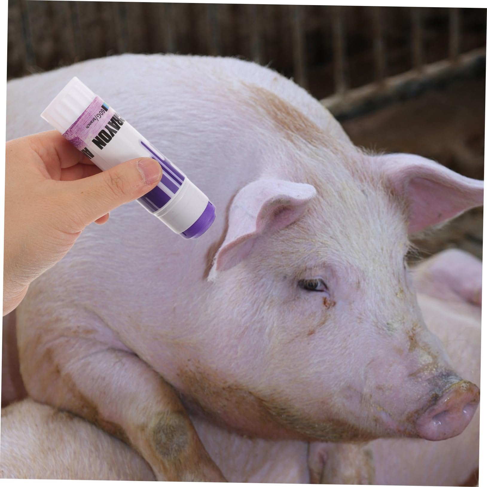 Animal Marker Pen
