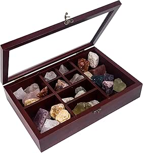 Amazon.com: FramePro Rock Collection Box for Kids, Rock Display Case ...