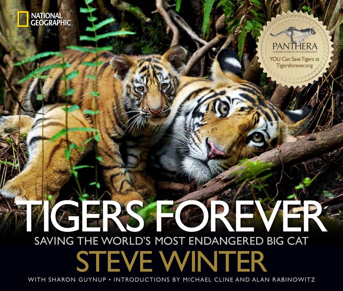 Amazon | Tigers Forever: Saving the World's Most Endangered Big Cat ...