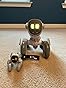 Amazon.com: Loona: Your Adorably Intelligent Petbot - Chat GPT-4o Enabled with Voice Command ...