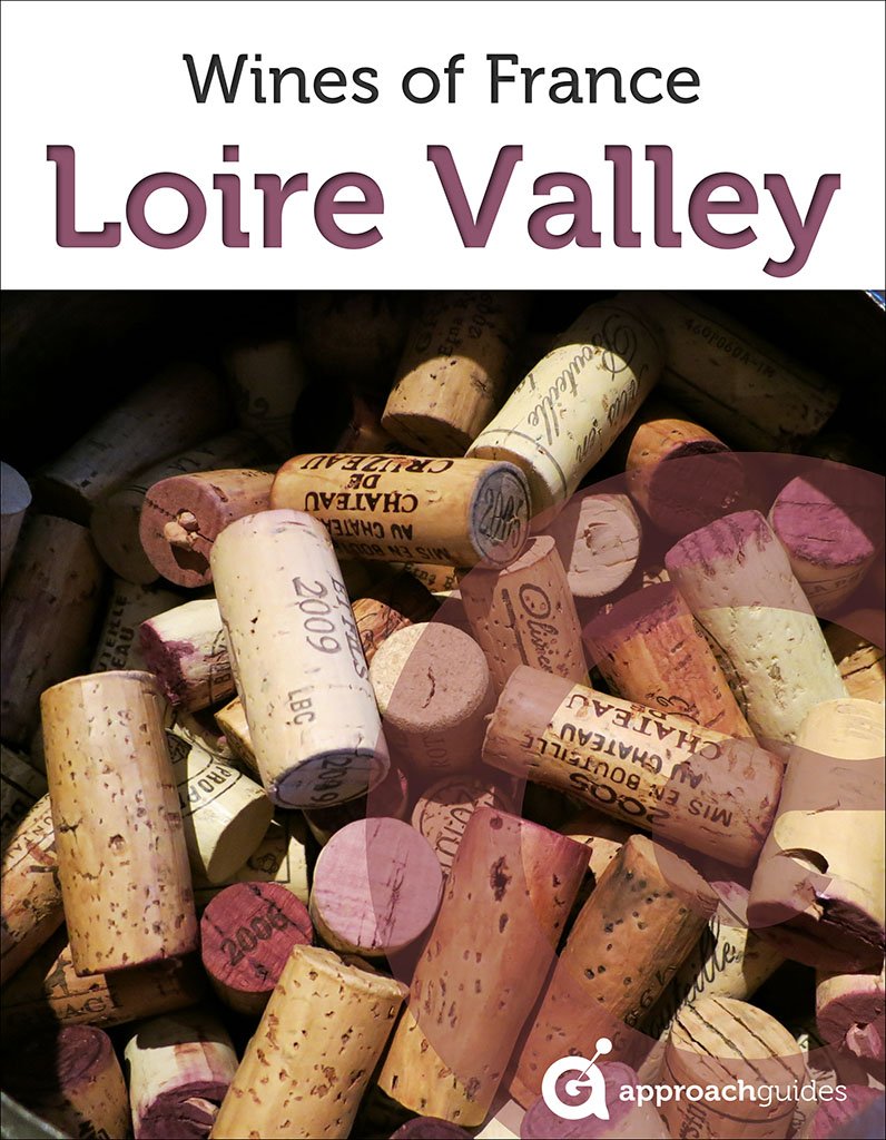 Amazon.com: Loire Valley: Guide to the Wines of France (French Wine ...