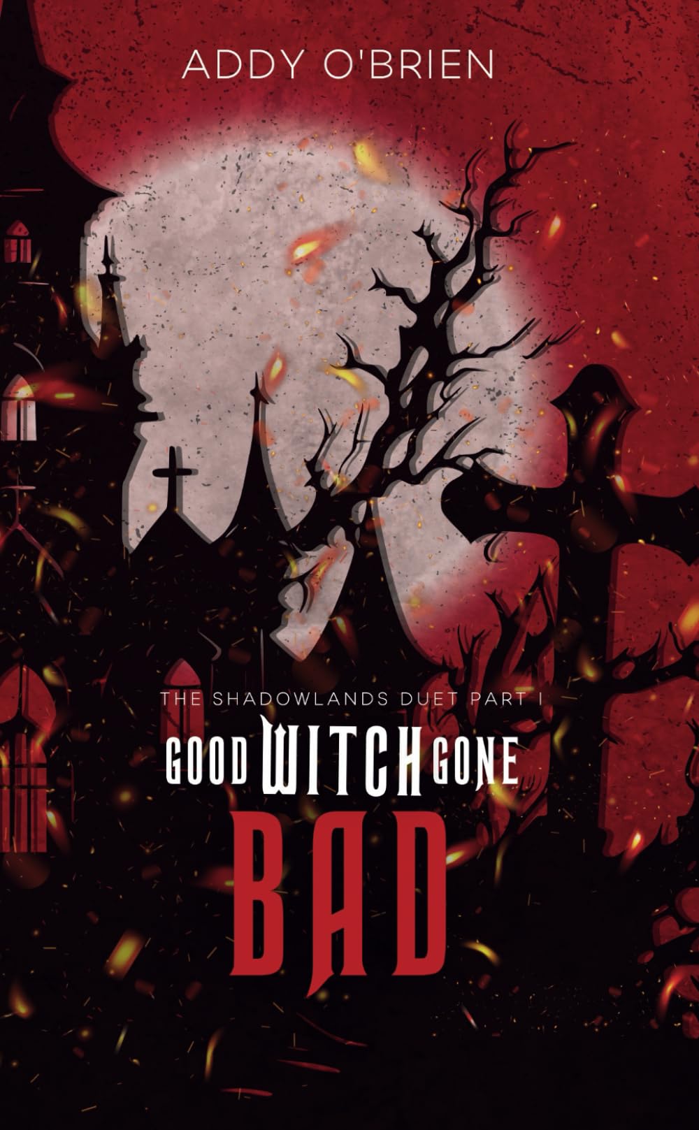 Good Witch Gone Bad: The Shadowlands Duet Part I : O'Brien, Addy ...
