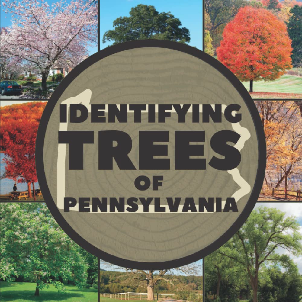 Identifying Trees of Pennsylvania: A Simple Identification Guide Book ...
