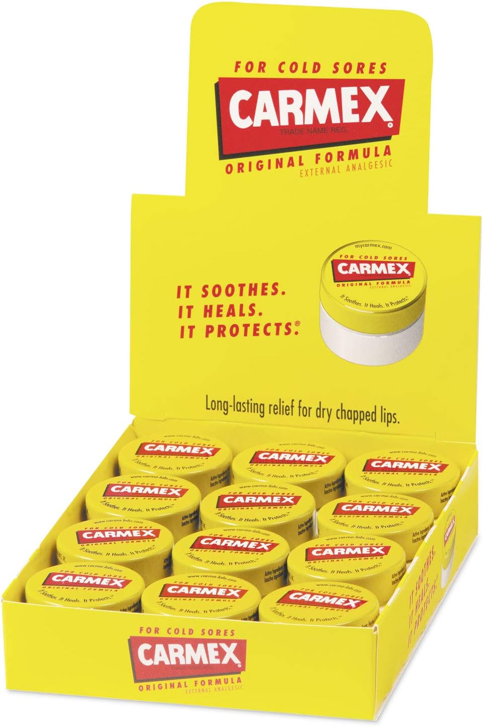 Amazon.com : Carmex Daily Care Moisturizing Lip Balm Pack, Lip Balm ...