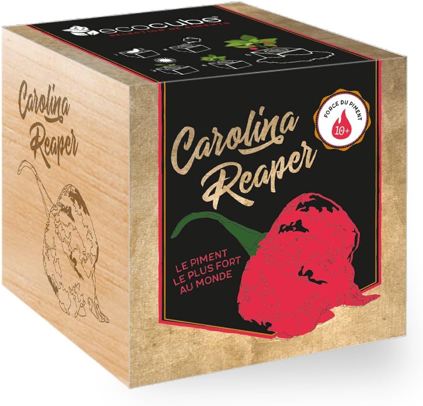 Feel Green Ecocube Piment Carolina Reaper (Force Du Chili 10+), Le ...