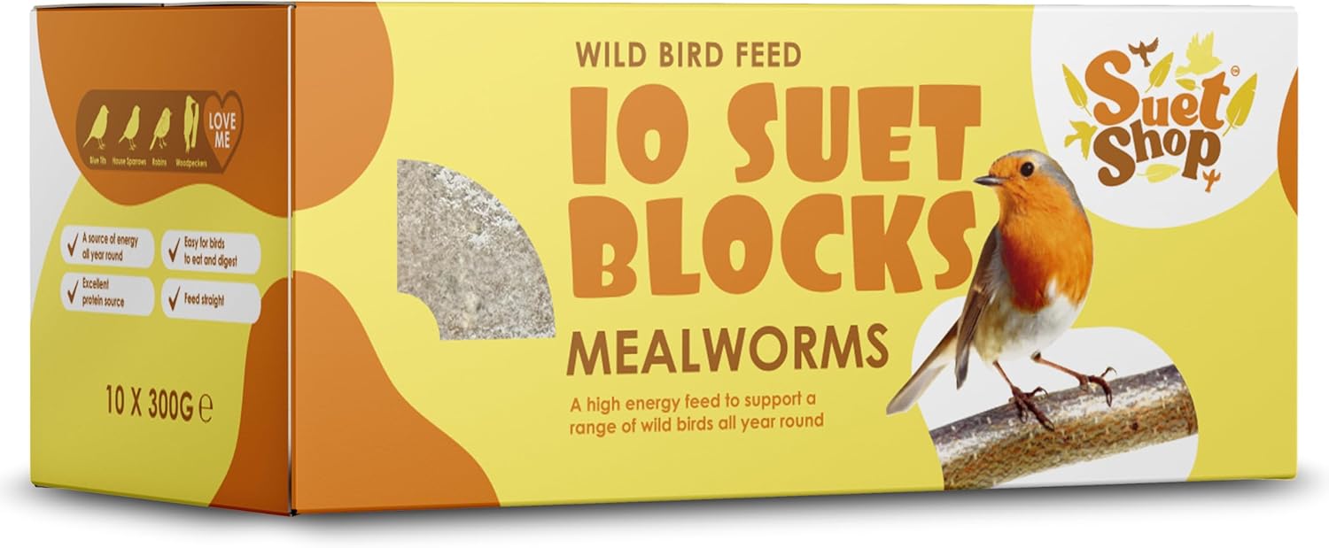 Suet Shop - Mealworm Suet Blocks for Wild Birds, 300g (Pack of 10 ...
