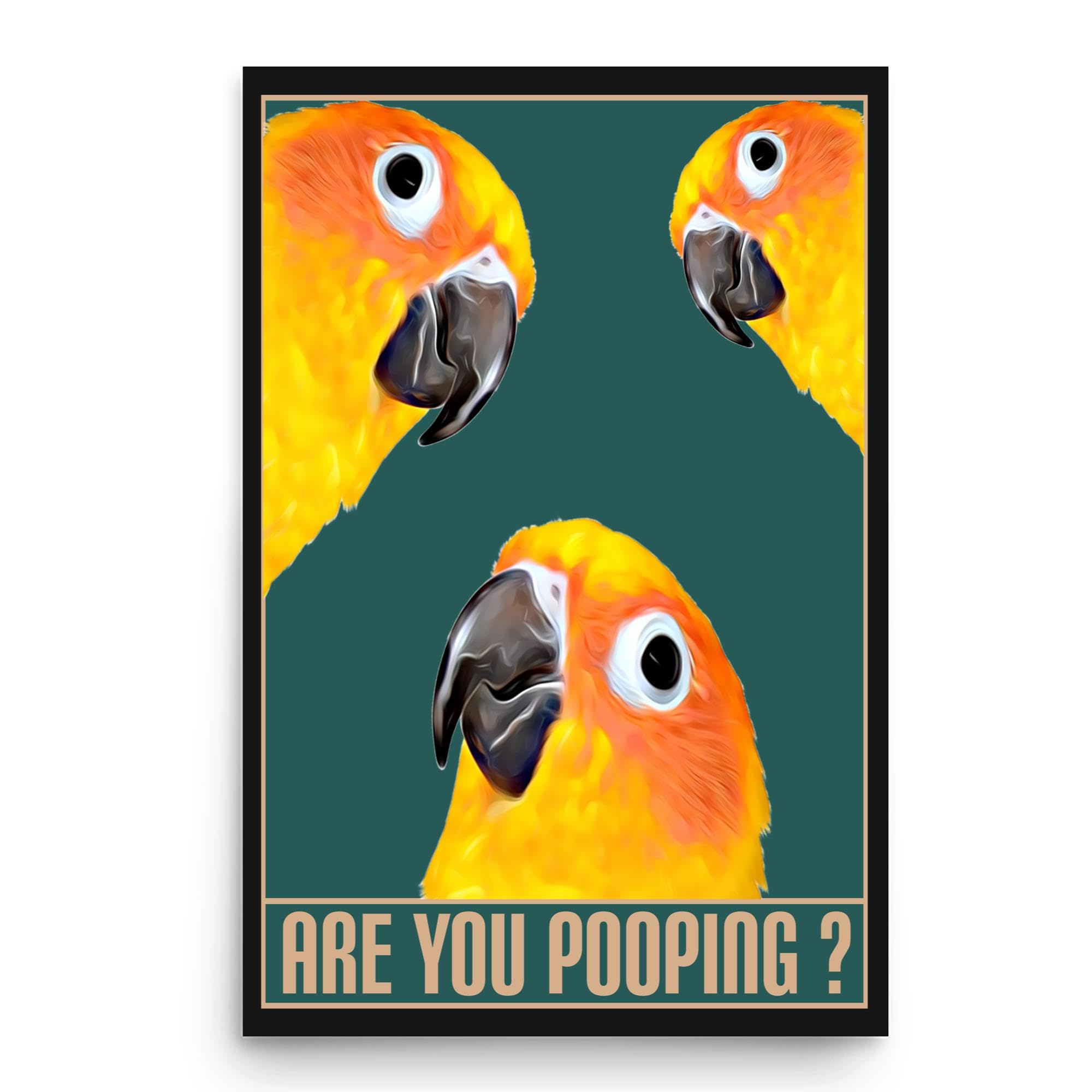 Amazon.com: Lovesout Funny Bathroom Wall Art Sun Conure Parrot Are You ...