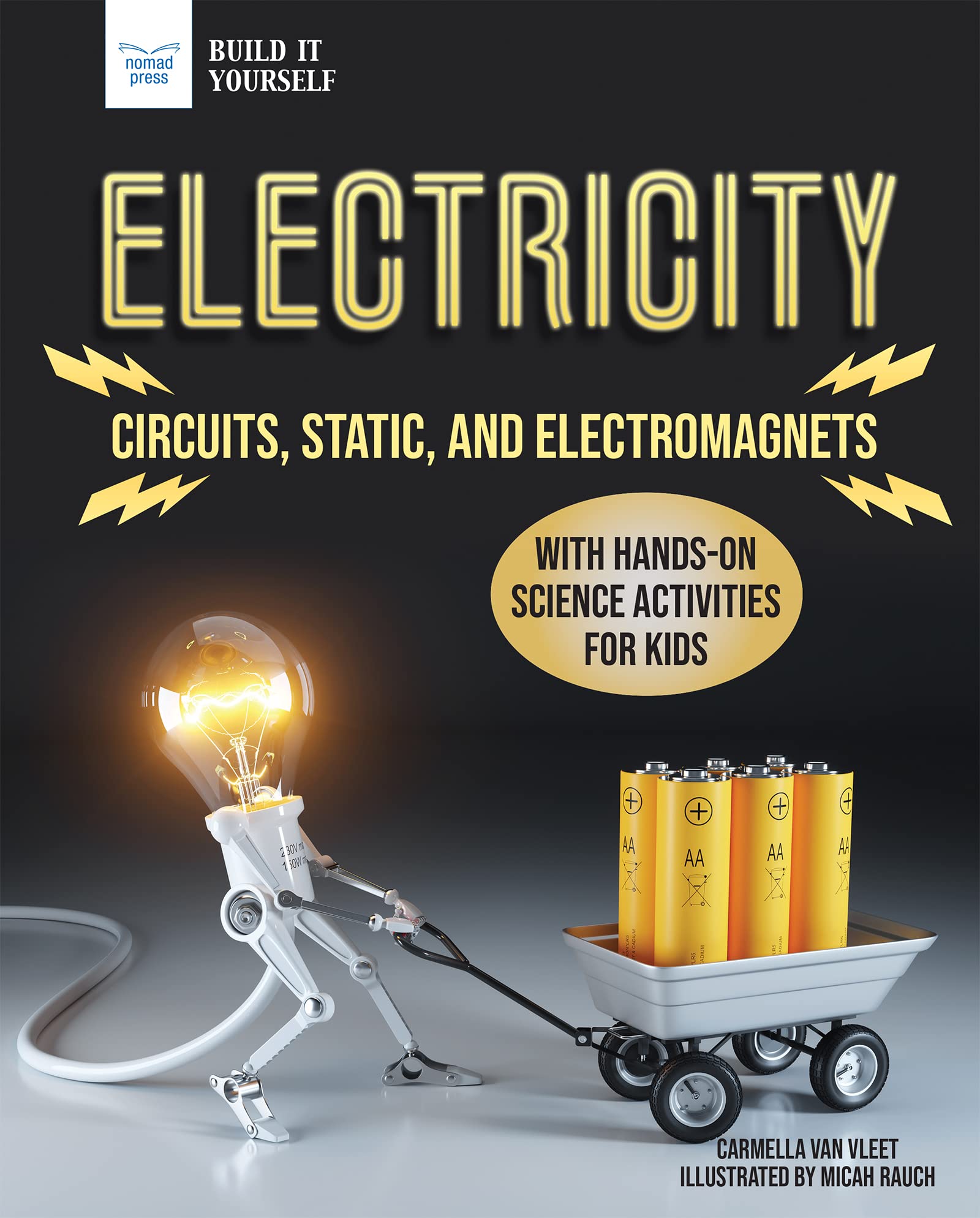 Electricity: Circuits, Static, and Electromagnets with Hands-On Science ...
