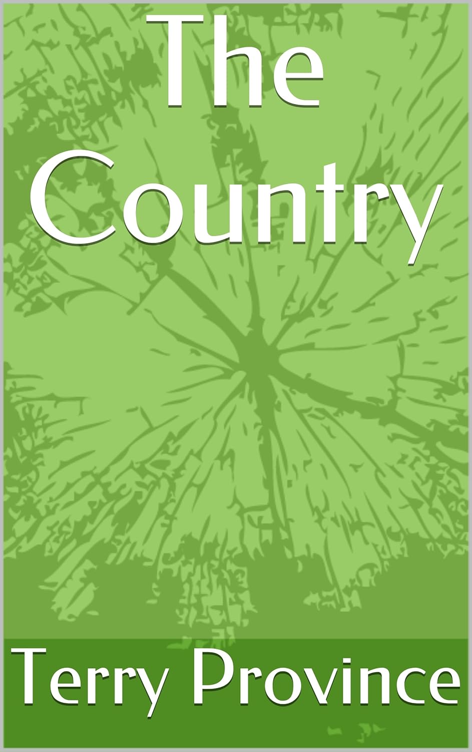 Amazon.com: The Country (Crystal Men Book 2) eBook : Province, Terry ...