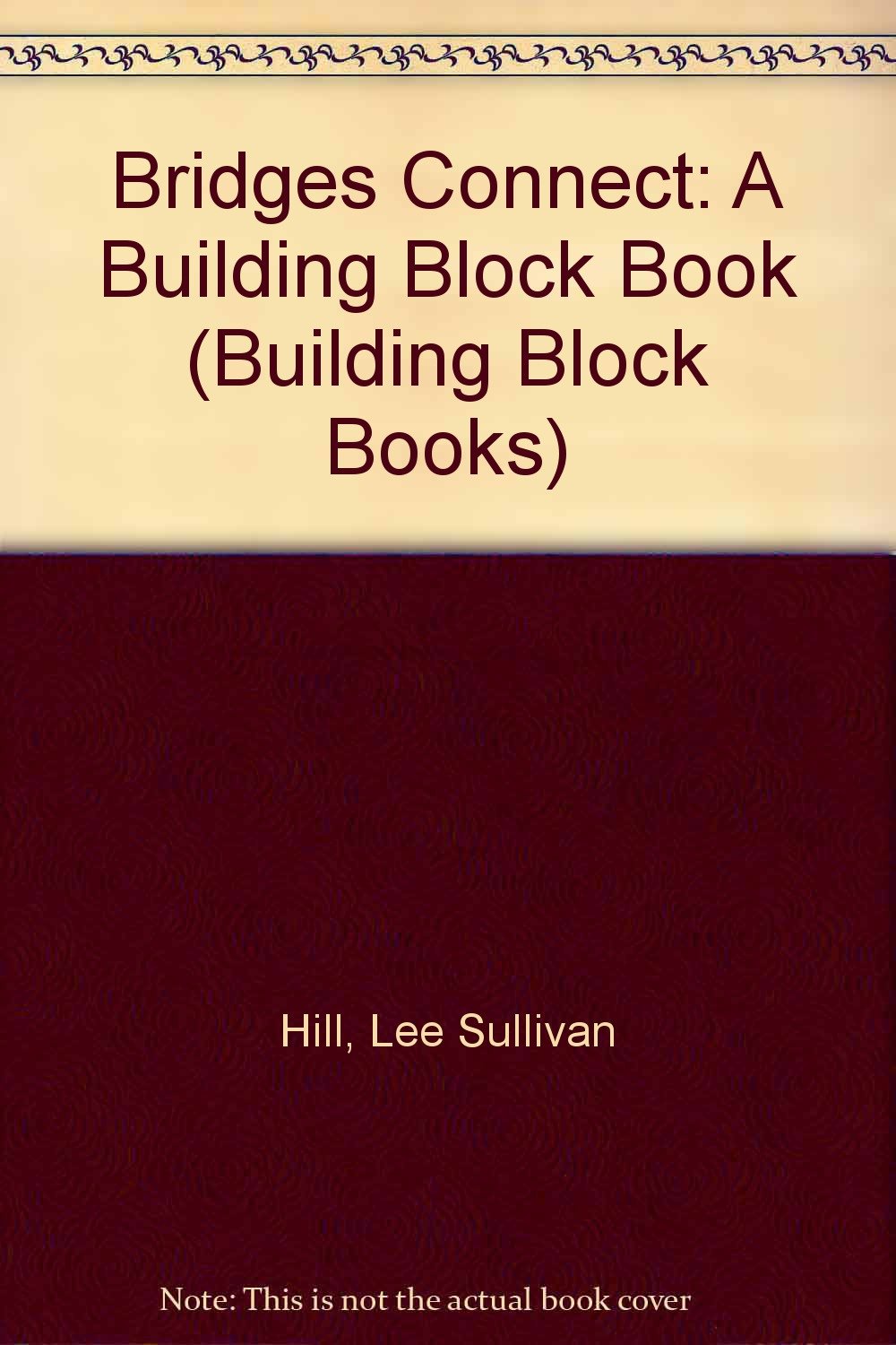 Amazon | Bridges Connect: A Building Block Book (Building Block Books ...