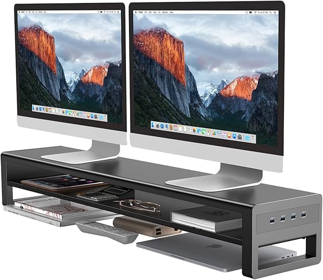 Amazon.com: STARSIKI 2 Tiers Dual Monitor Stand with 4 USB 3.0 Ports ...