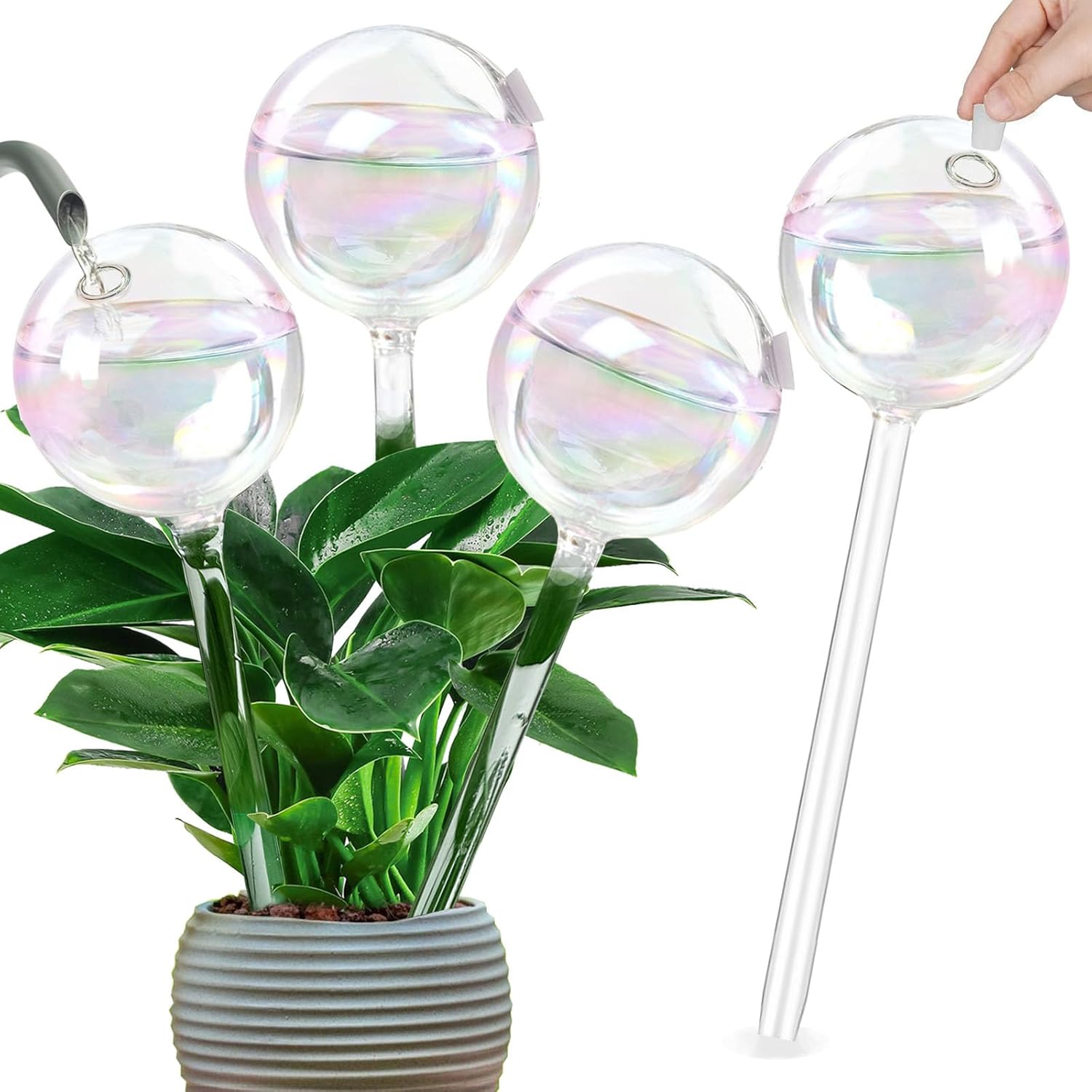 Amazon.com: MOONSOUND 4pcs Plant Automatic Watering Bulb, Glass Garden ...