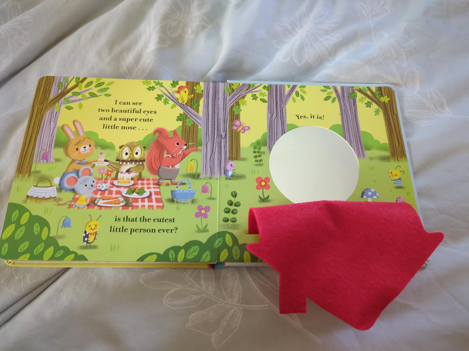 Who's Cute?: A felt flaps book with a mirror (Felt Flaps mirror book ...