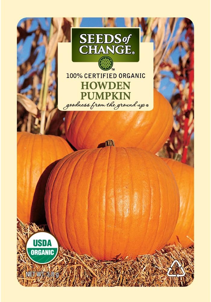Amazon.com : Seeds of Change Certified Organic Howden Pumpkin : Pumpkin ...