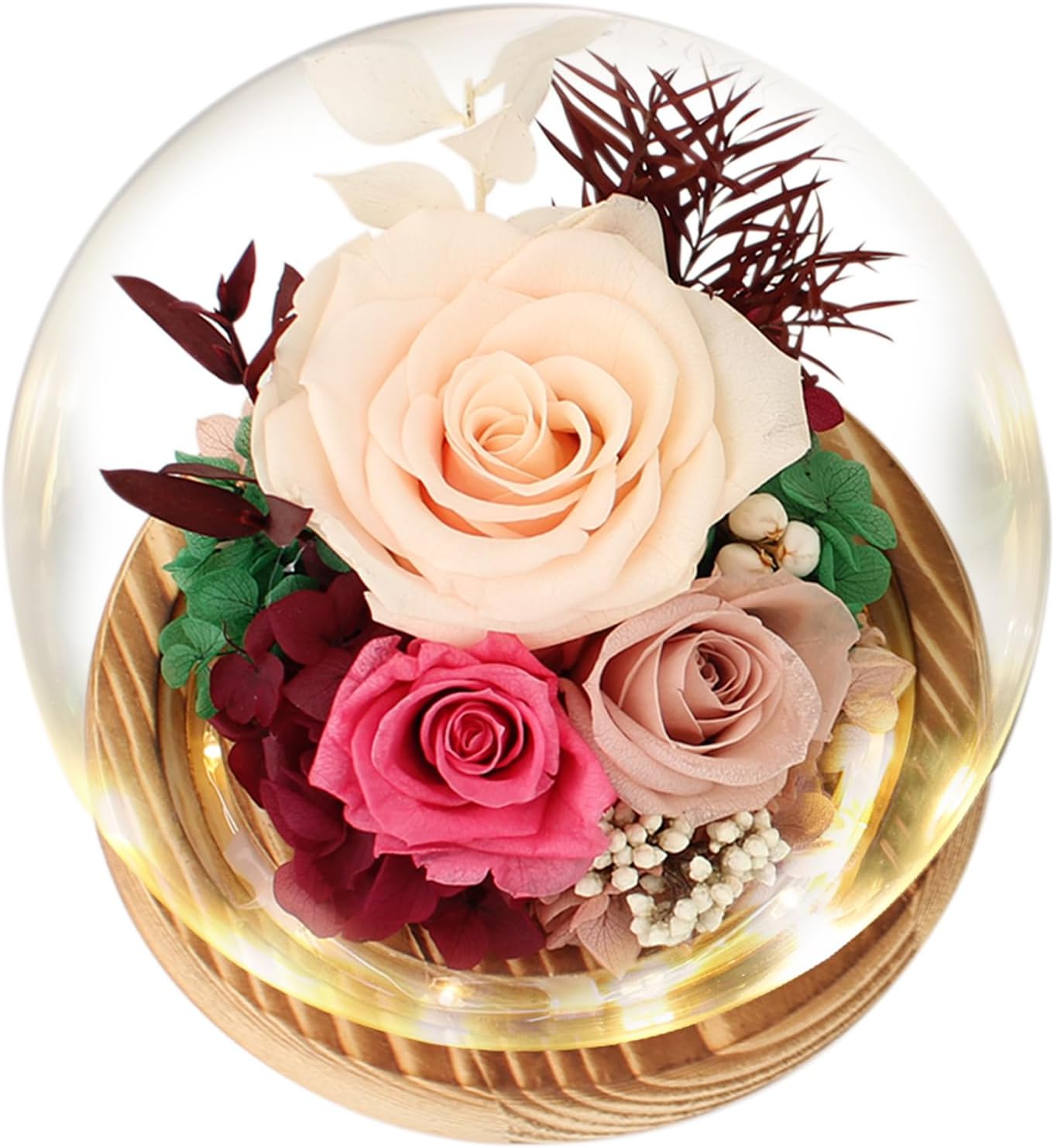 Amazon.com: oridom Preserved Flower Gift, Light Up Rose in Glass Dome ...