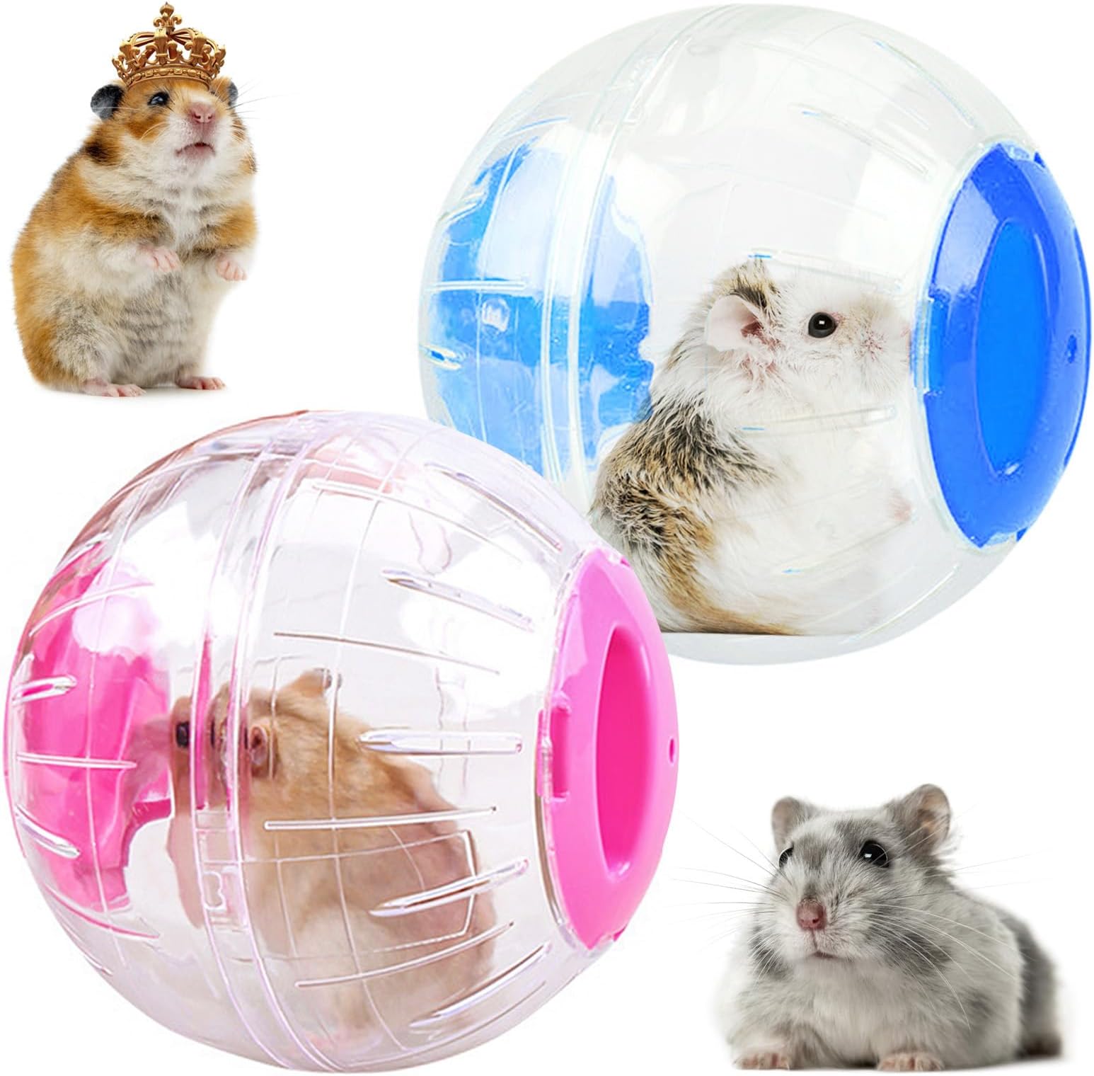 Cisolen Hamster Run Gymnastics Ball Transparent Exercise Ball Toy ...