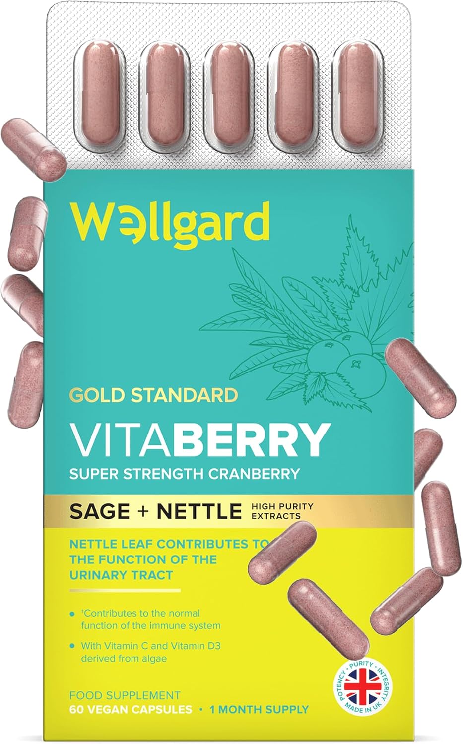 Wellgard Vitaberry for Women's Urinary Tract 60 Capsules ...