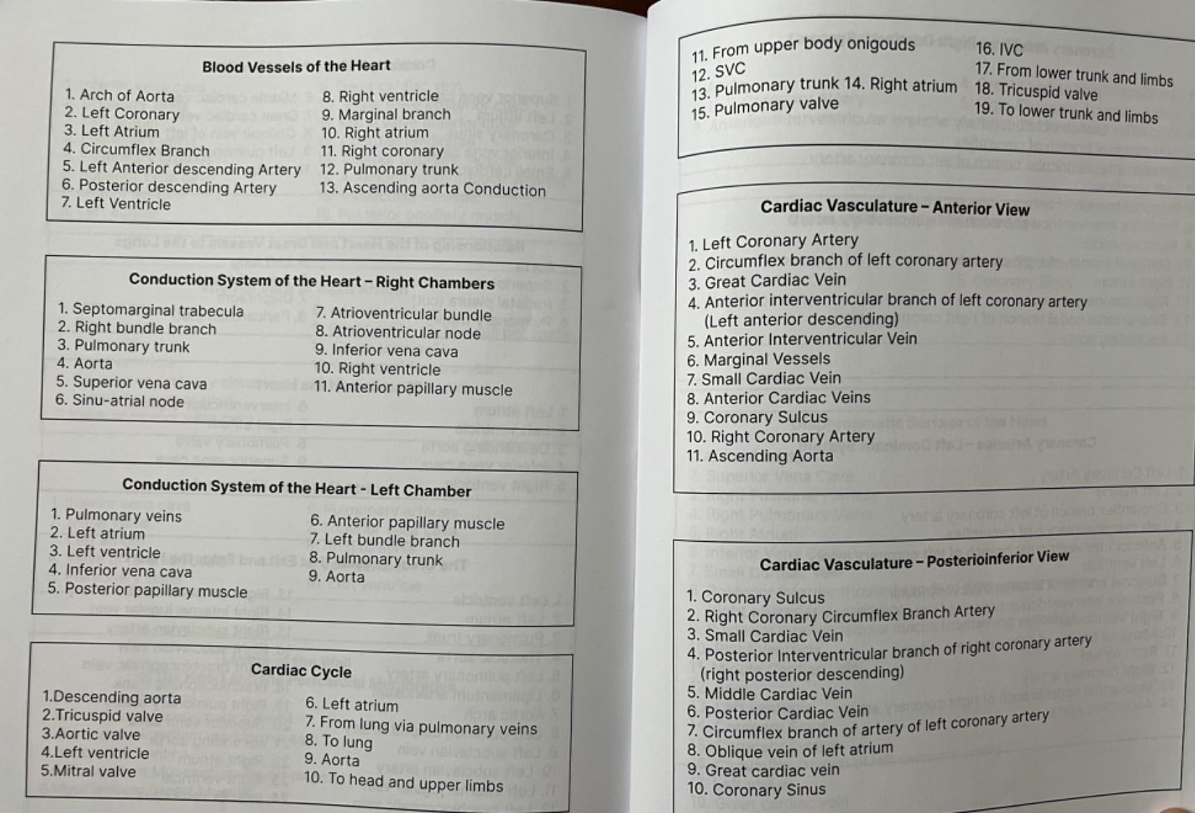 Adult Cardiovascular Anatomy Coloring Book: Comprehensive Cardiology ...