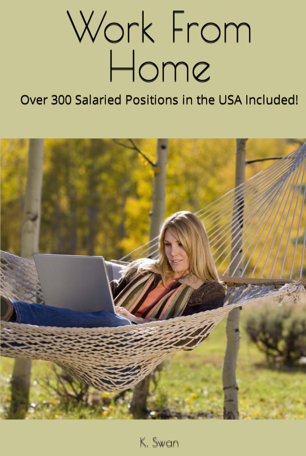 Work From Home: Over 300 Salaried Positions in the USA Included!: Swan ...