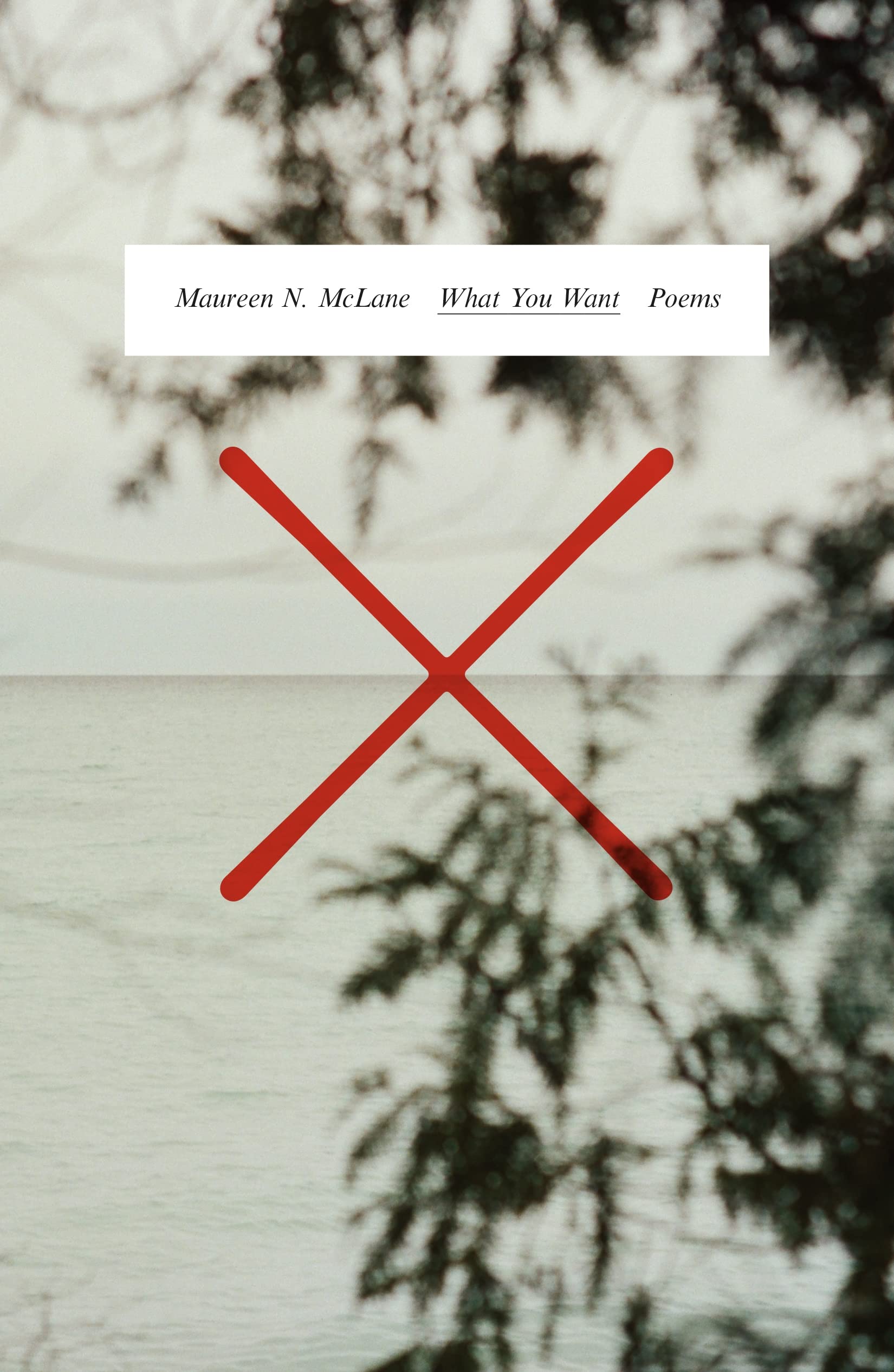 What You Want: Poems: McLane, Maureen N.: 9780374607258: Amazon.com: Books