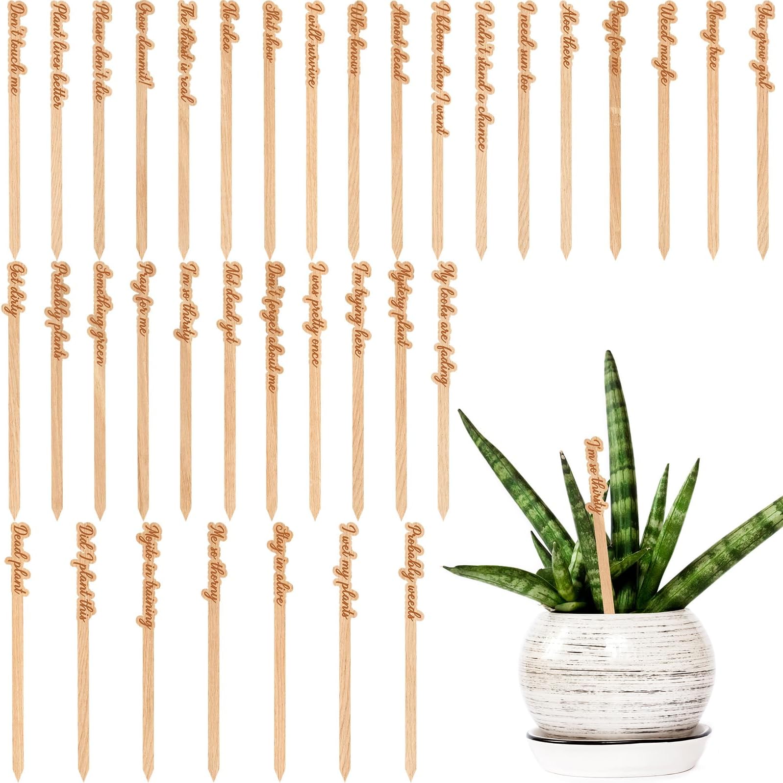 Amazon.com: Thyle 36 Pcs Funny Wooden Plant Labels 5.9 x 0.6" Garden ...