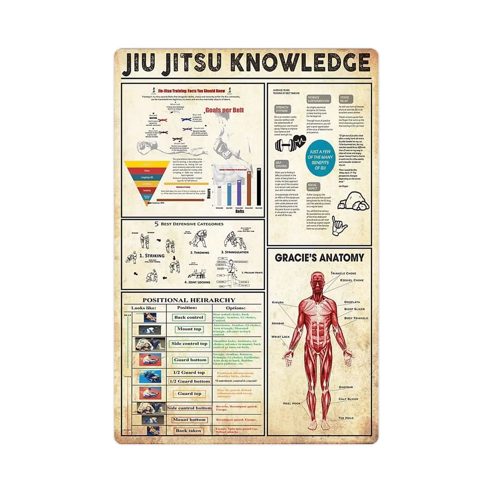Amazon.com : Jiu Jitsu Knowledge Metal Tin Signs Jiu Jitsu Infographics ...