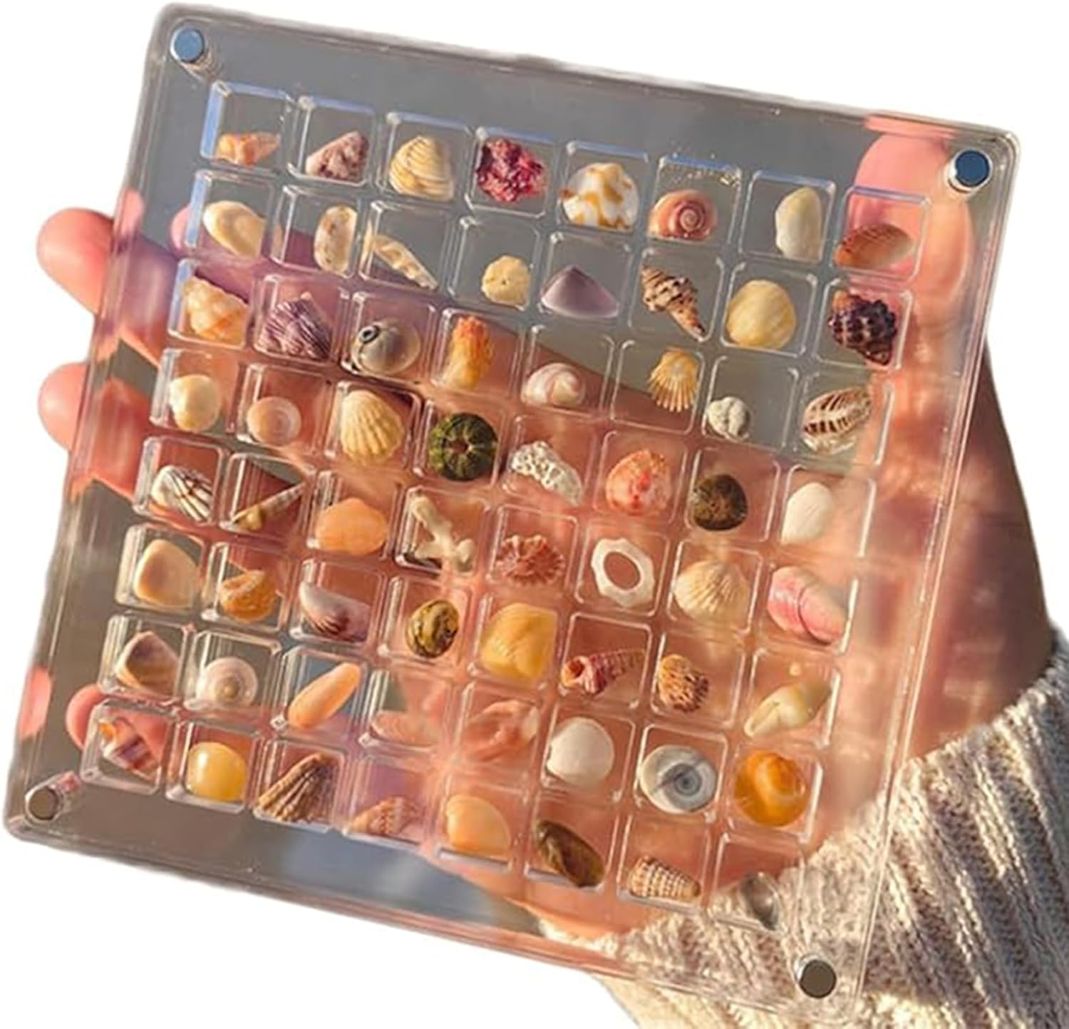 Acrylic Magnetic Seashell Display Box - 36/64/100 Grid Seashell Display ...