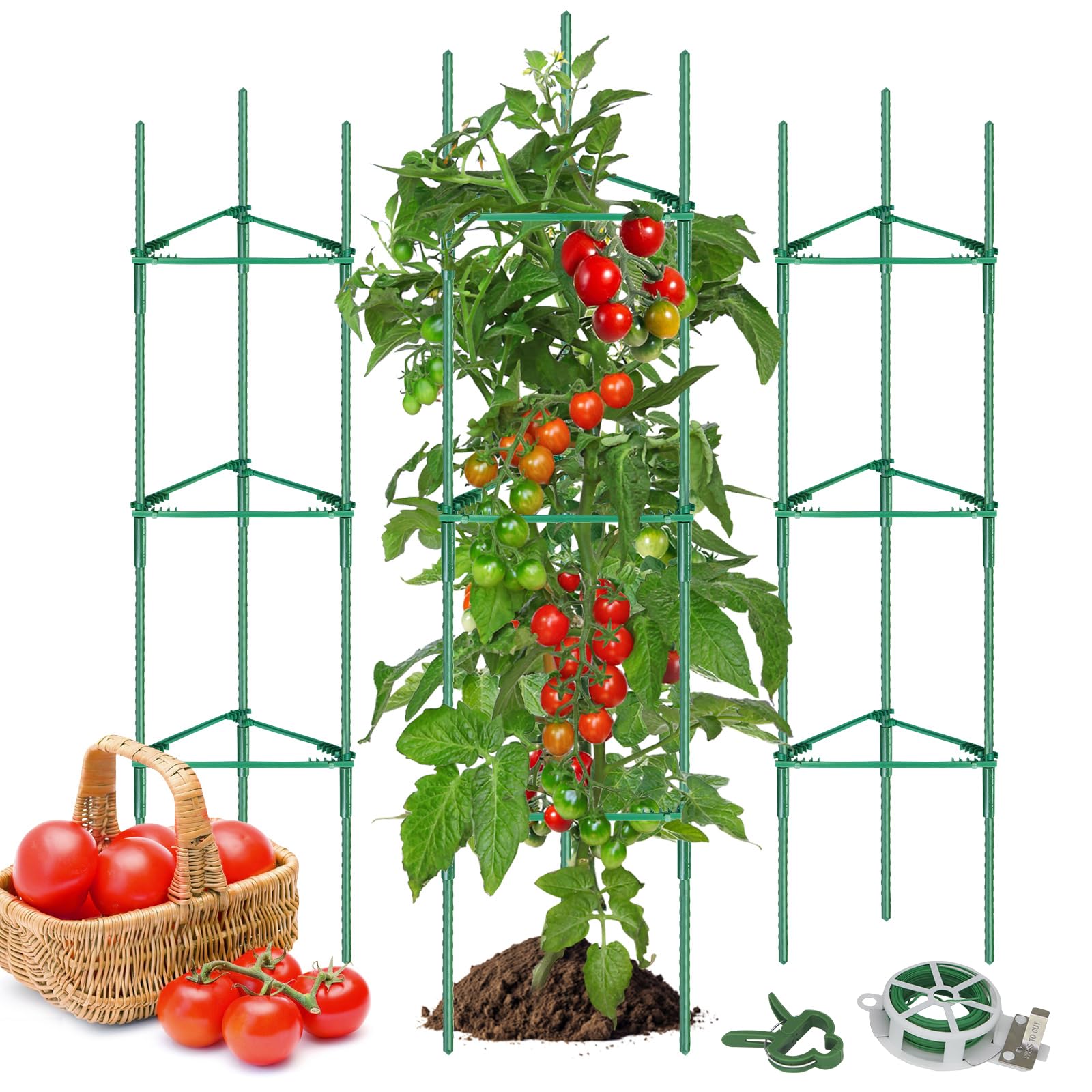 Vertical Tomato Plant System Everything You Need To Know About Tomato