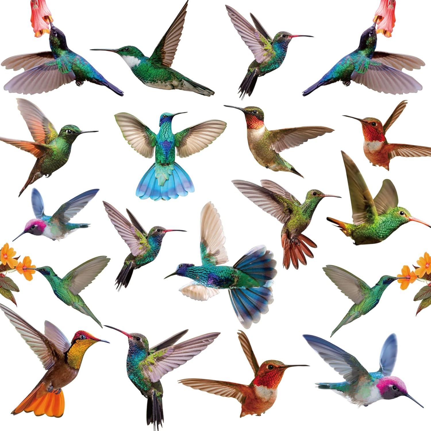 Amazon Window Decals For Bird Strikes 9 Pieces Large Size Bird amazon-window-decals-for-bird-strikes-9-pieces-large-size-bird