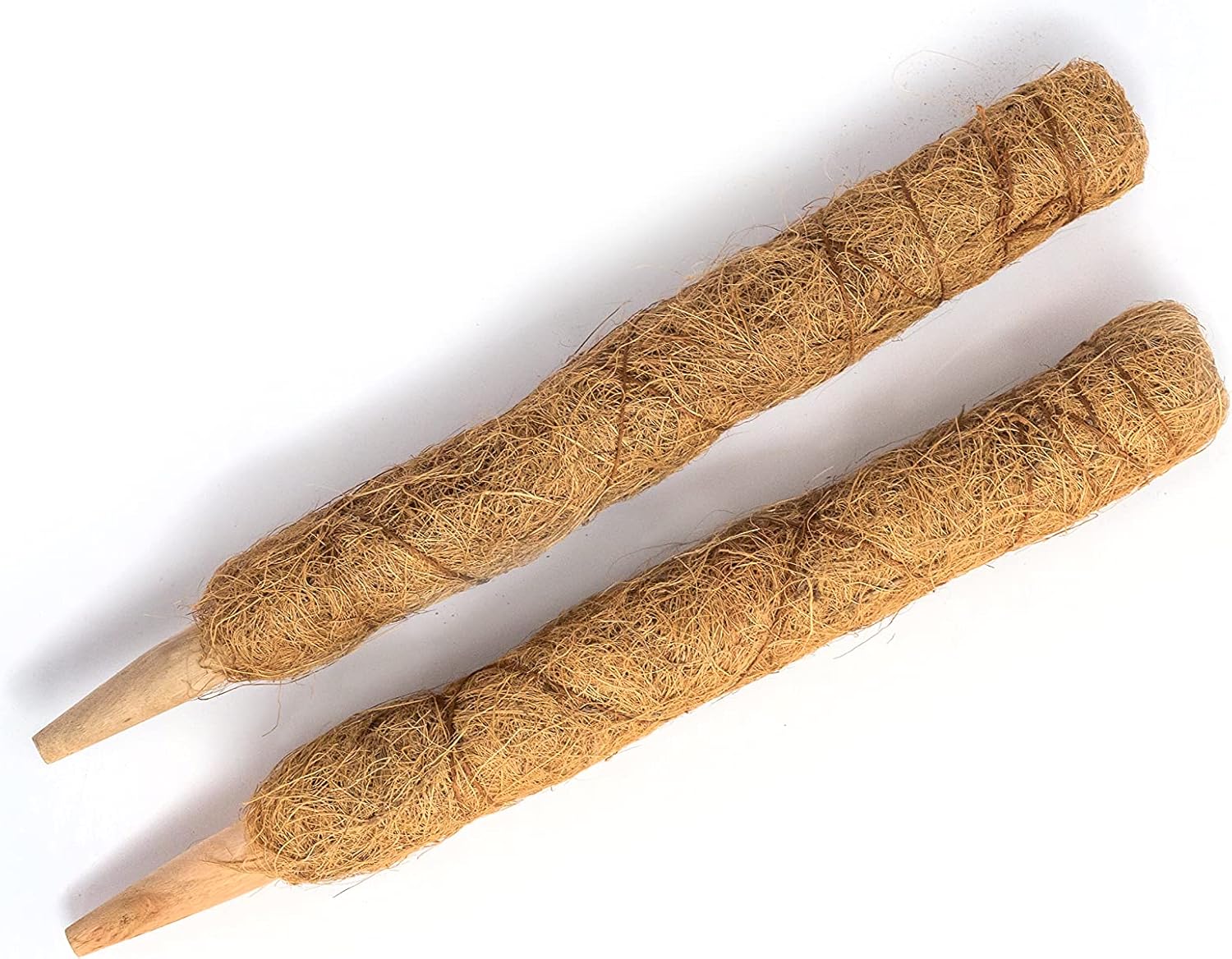 2 pack | 40cm/15.75in | Moss pole for cheese plant, monstera, money ...
