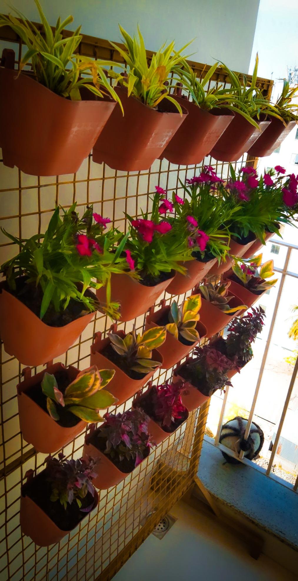 TrustBasket Set of 20 Vertical Gardening POTS/PLANTERS(Small) - Brown ...