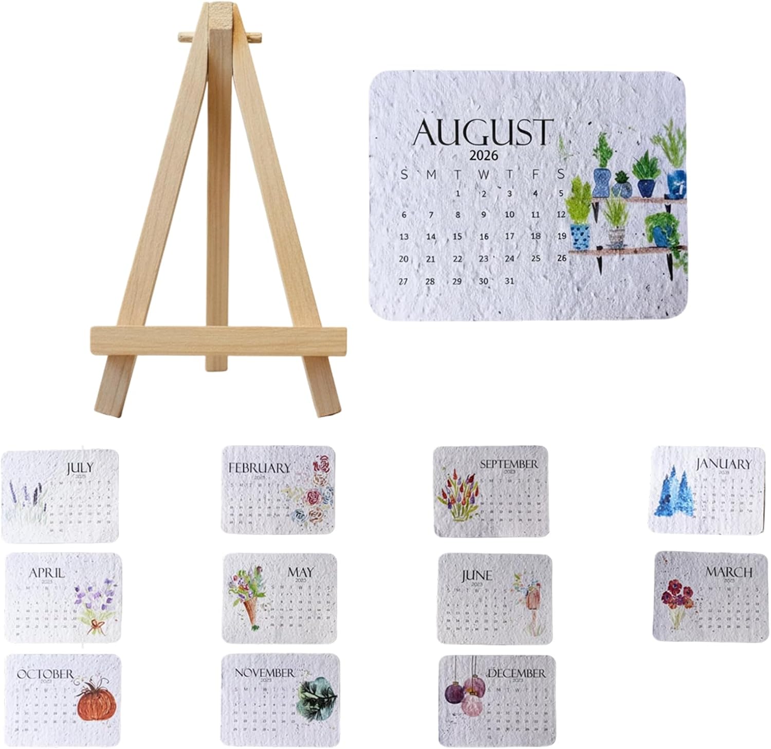 Amazon.com: 1 Set of Plantable Seed Calendar 2026, Seed with 12 Monthly ...