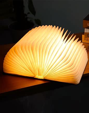 ZBOLE 4.7 Inch Wooden Book Lamp, Warm Night Light, Folding Book Light ...