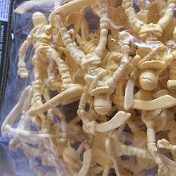 Amazon.com: 100 Piece Army Skeleton Warriors Ready to Take Over : Toys ...
